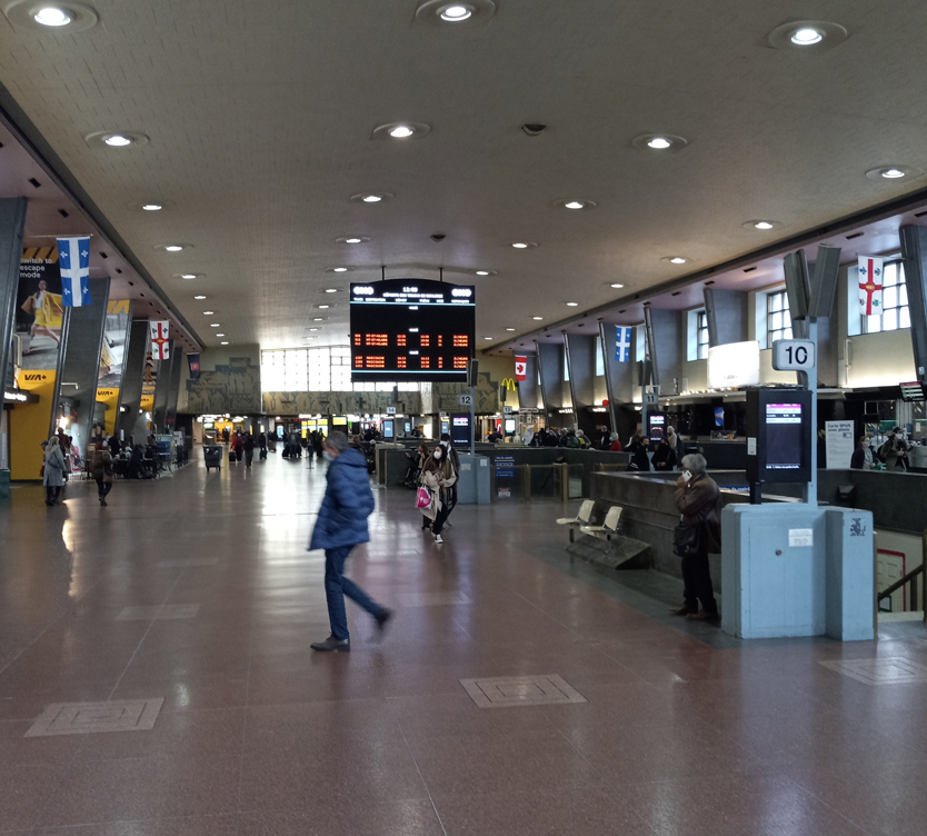 Snowbirds that visit Quebec City