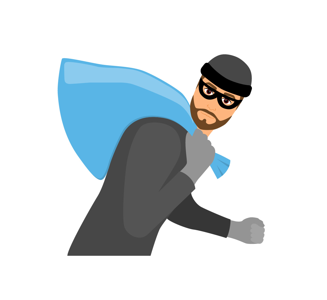 Snowbird Travel Security